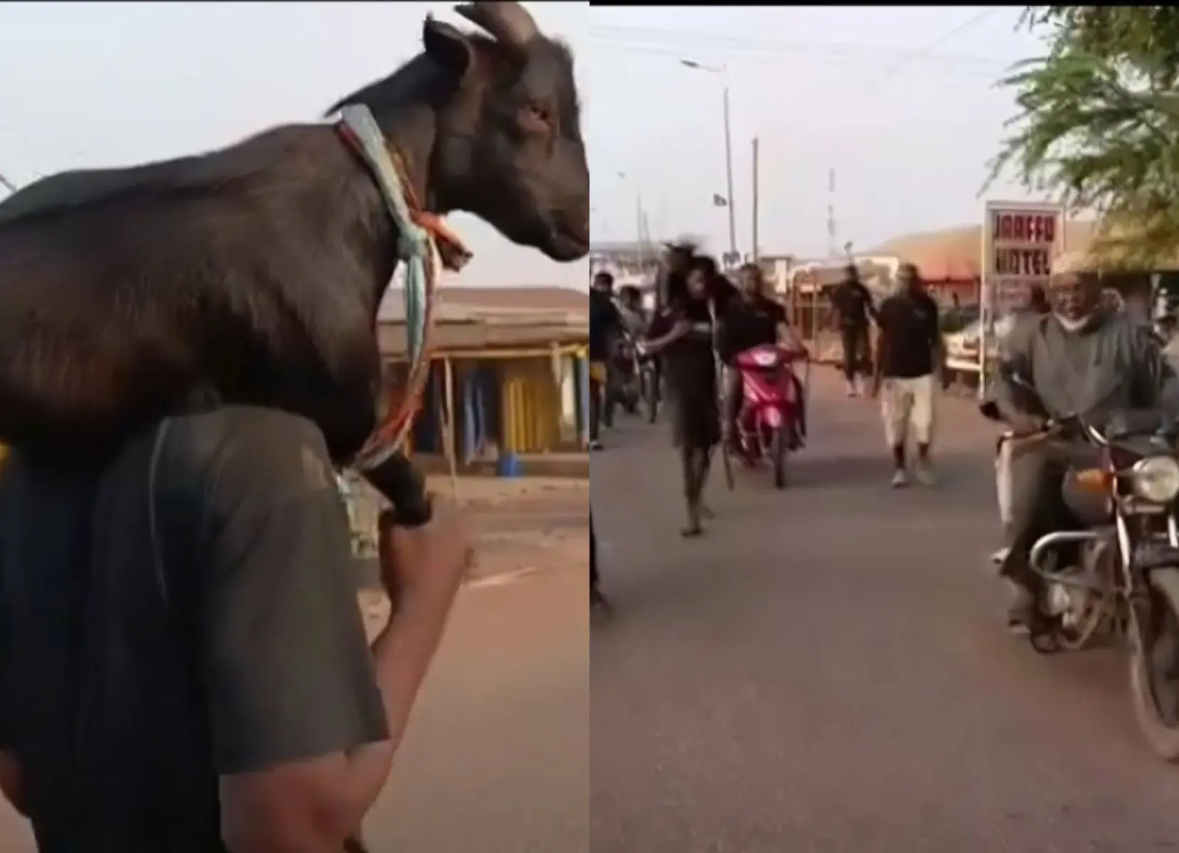 Thief forced to carry stolen goat through township in public shaming ...